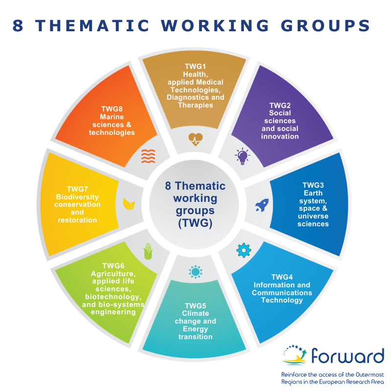 Outermost Regions co-create thematic actions plan - nexa